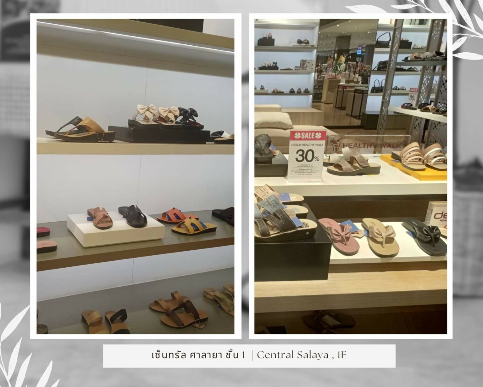 รองเท้าเพื่อสุขภาพ Deblu เคียงคู่ทุกครอบครัว | Deblu
